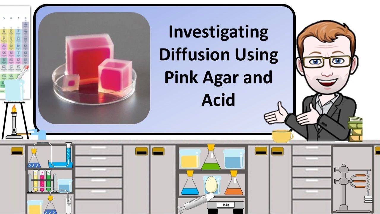 Investigating Diffusion Using Pink Agar and Acid